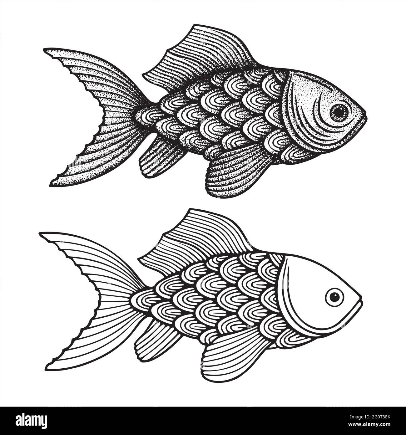 Abstract Fish Drawings