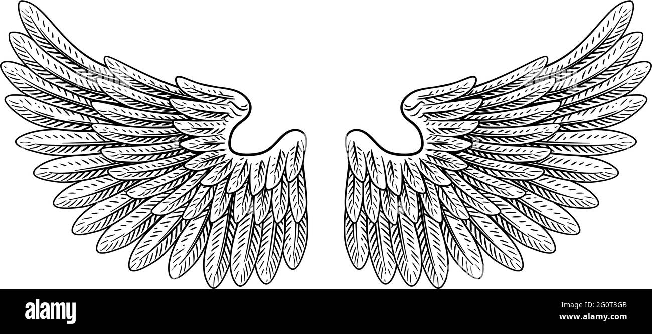 Draw wings hi-res stock photography and images - Alamy