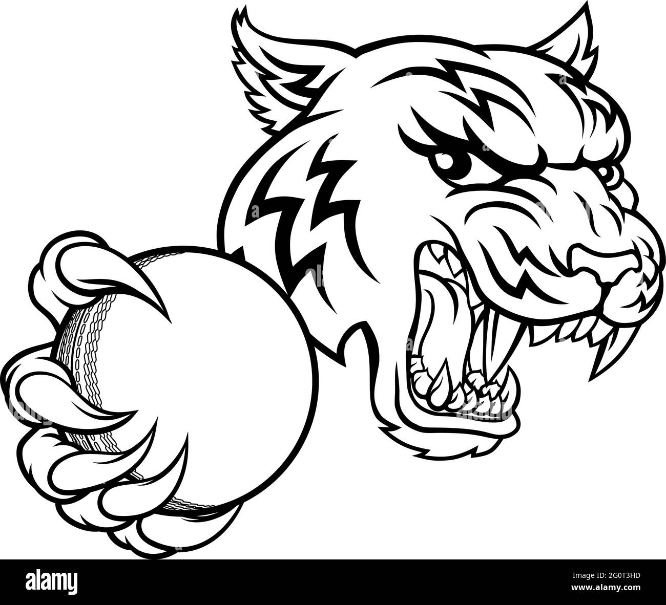 Tiger Cricket Player Animal Sports Mascot Stock Vector Image & Art - Alamy