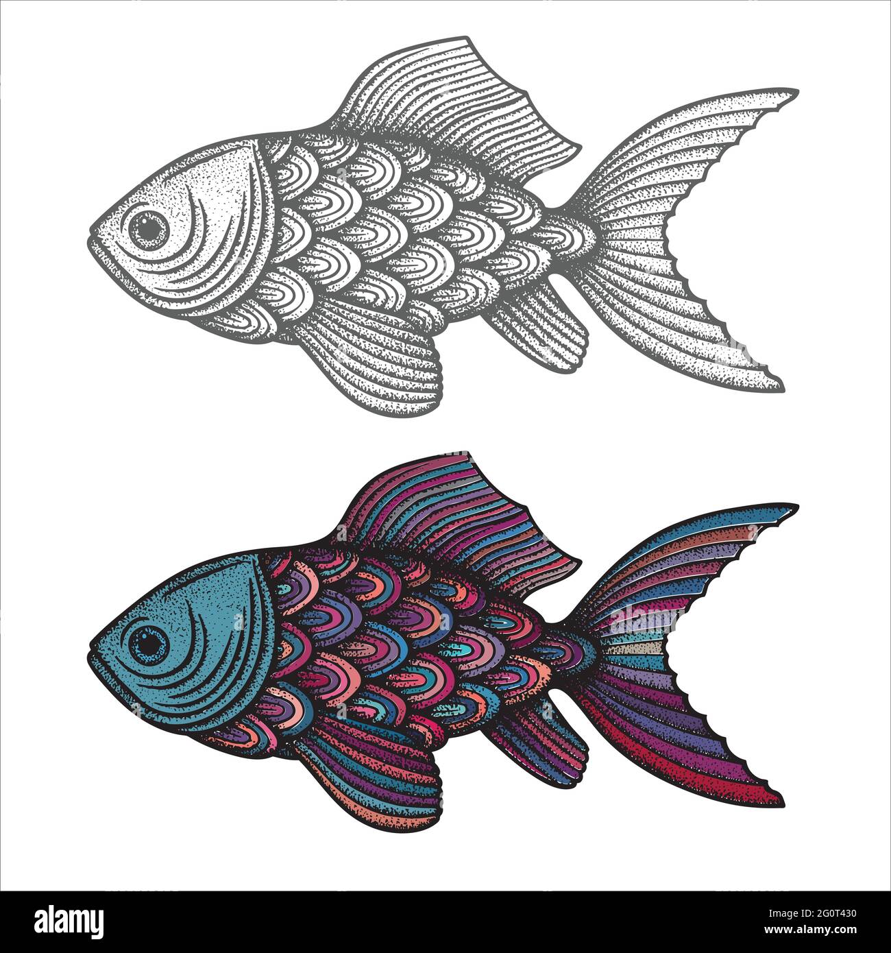 Fish abstract drawings set. Hand drawn fish vintage, engraving style ...