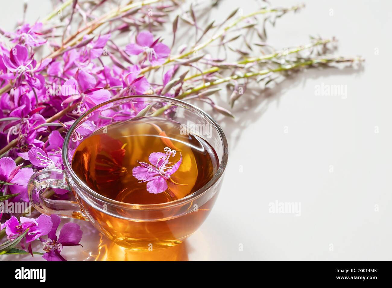 Fireweed herb known as blooming sally and tea in a cup Stock Photo - Alamy