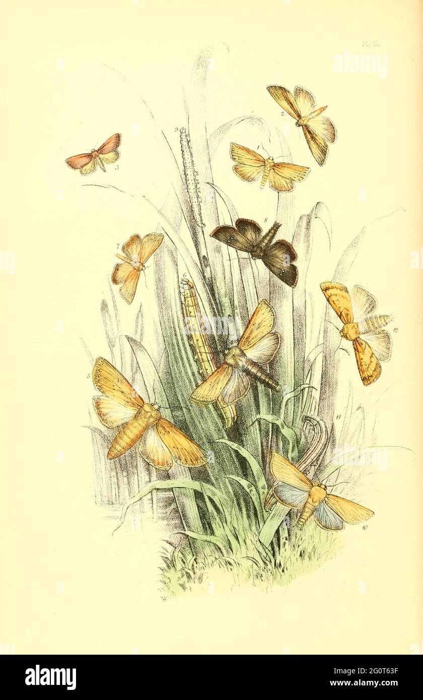 Paul Jerrard High Resolution Stock Photography and Images - Alamy