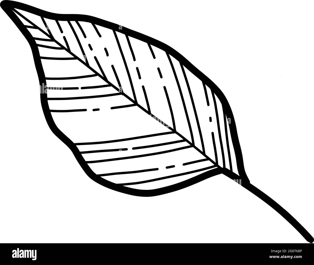 Free hand Sakura flower leaf vector, Beautiful line art Peach blossom ...