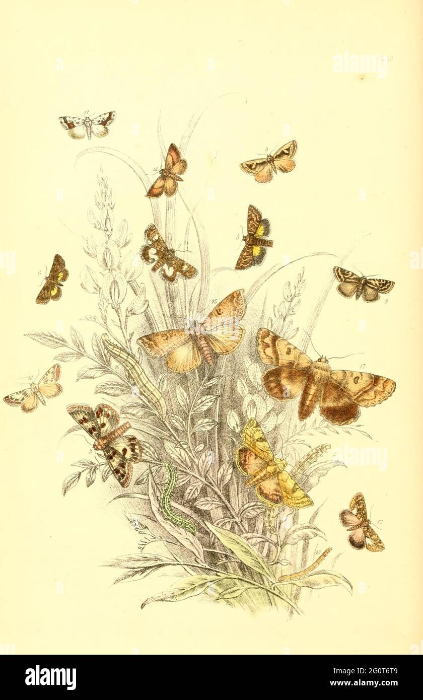 Paul Jerrard High Resolution Stock Photography and Images - Alamy