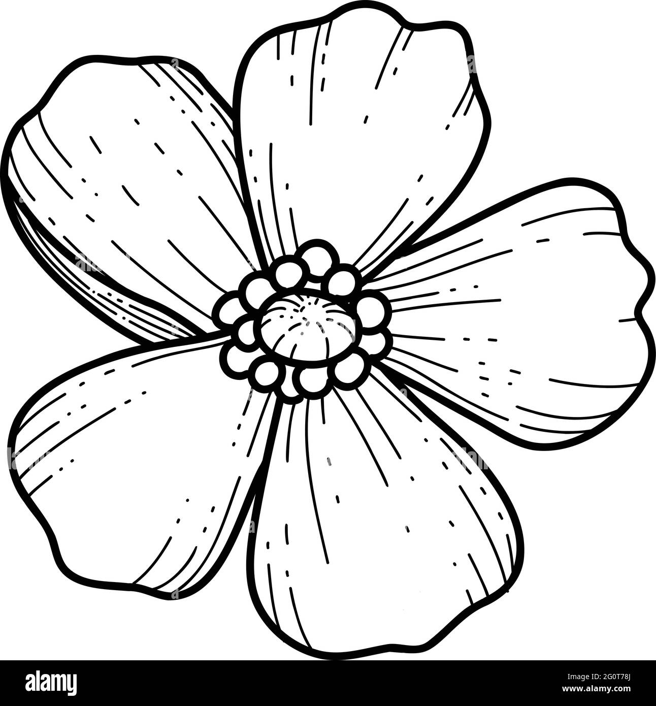 Free hand Sakura flower vector, Beautiful line art Peach blossom ...
