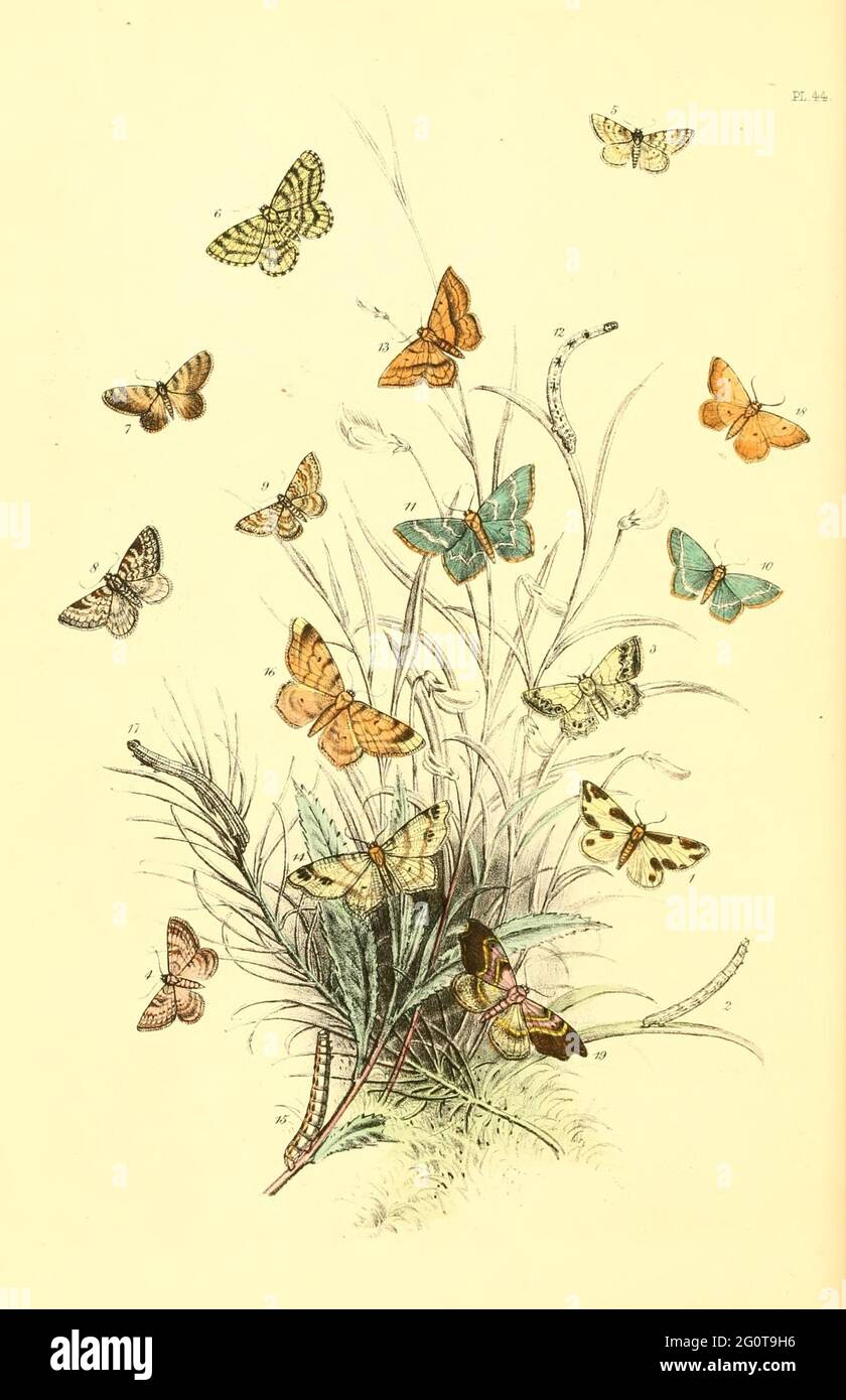 Paul Jerrard High Resolution Stock Photography and Images - Alamy