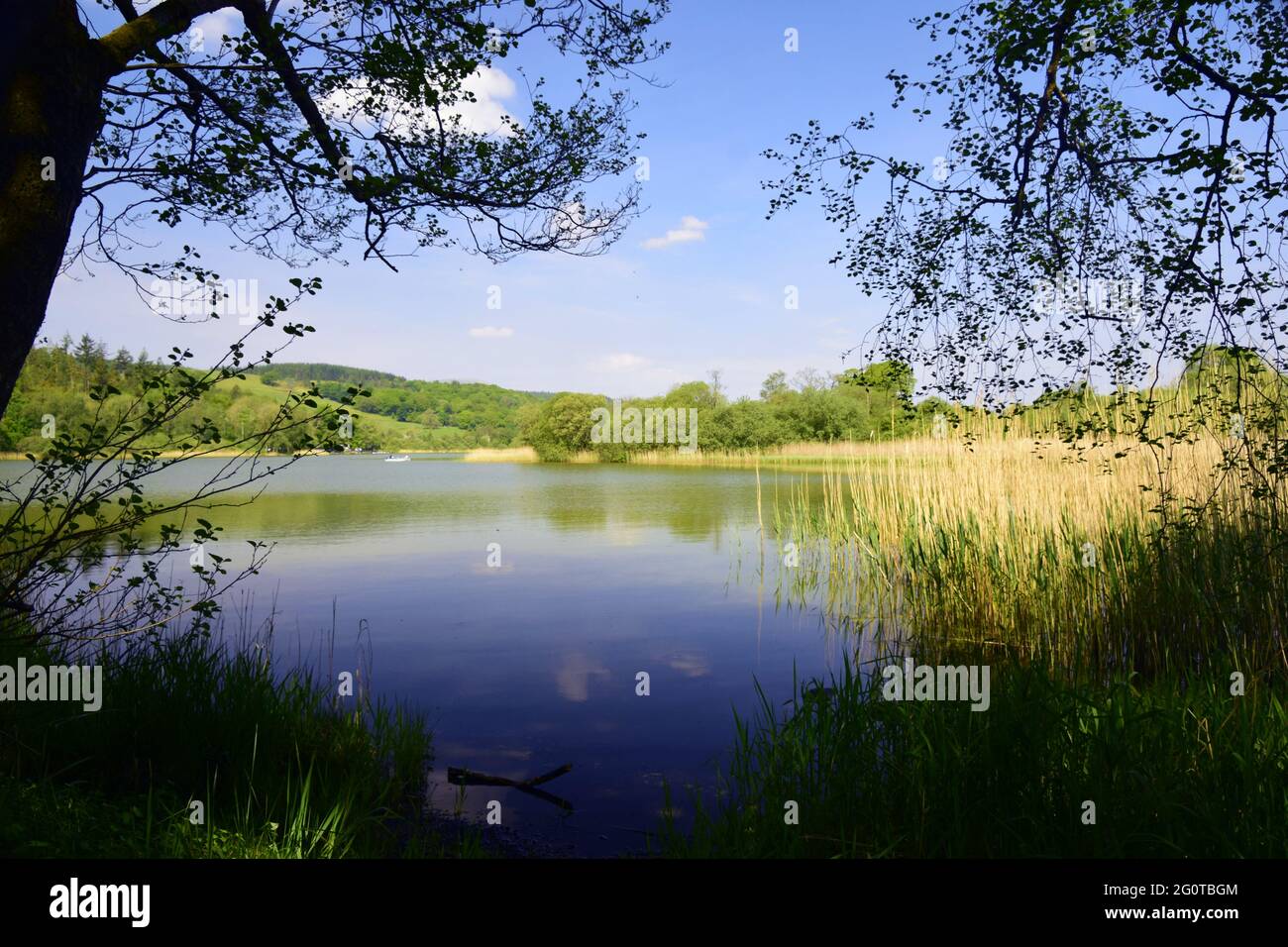 Mesotrophic Lake