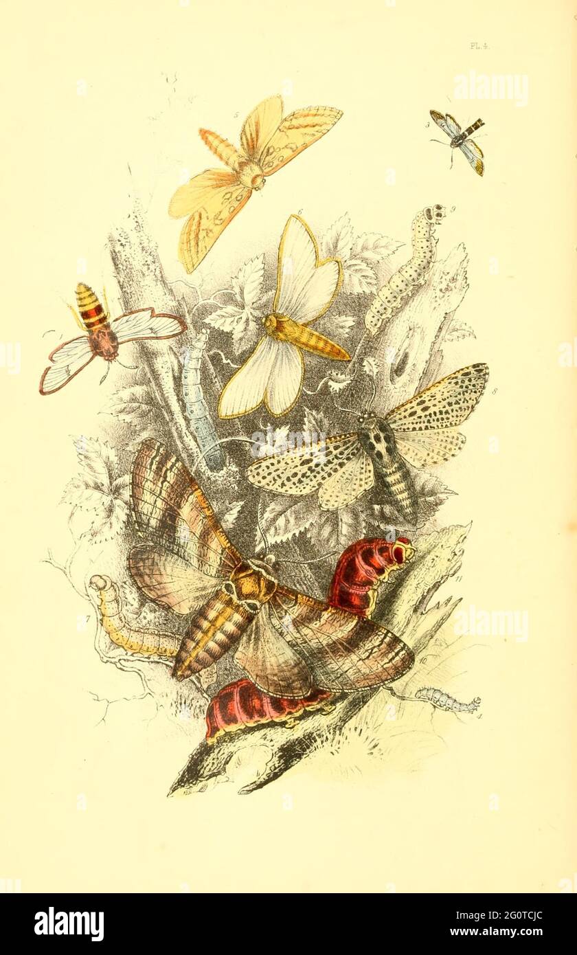 Paul Jerrard High Resolution Stock Photography and Images - Alamy