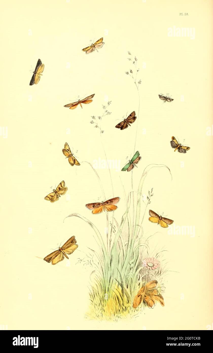 Paul Jerrard High Resolution Stock Photography and Images - Alamy