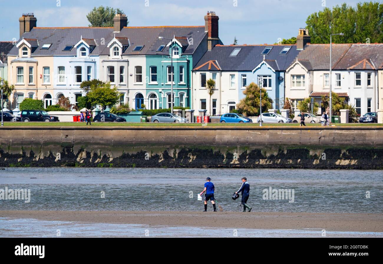 Men dig for lugworm while the tide is low in Dublin Bay on fine summer ...