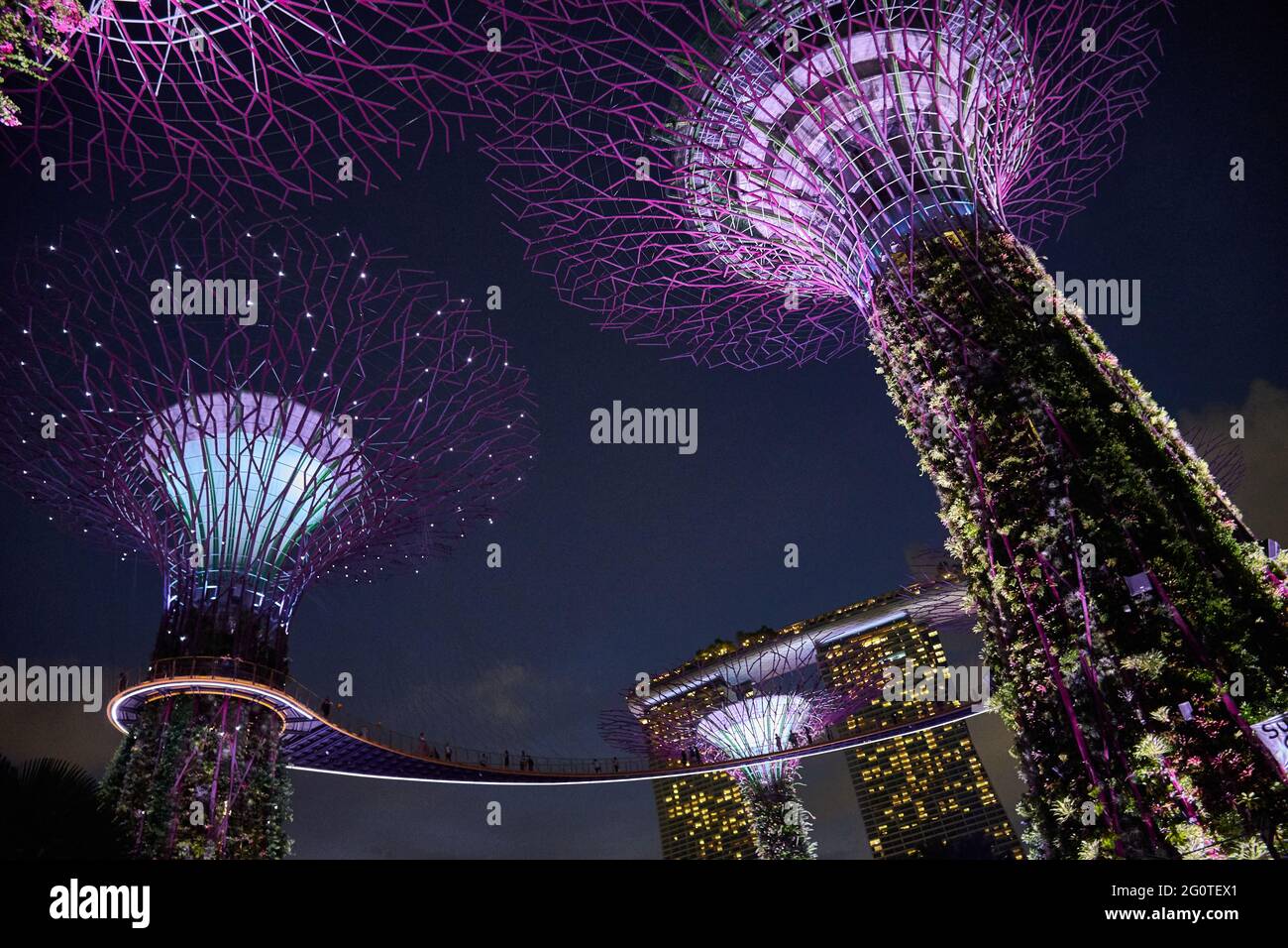 super trees in singapore Stock Photo - Alamy