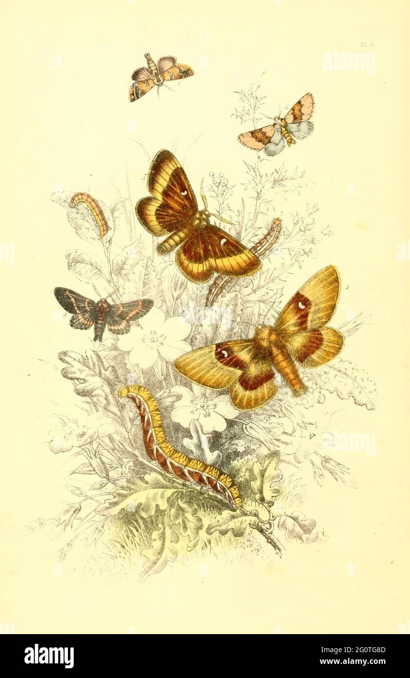 Paul Jerrard High Resolution Stock Photography and Images - Alamy