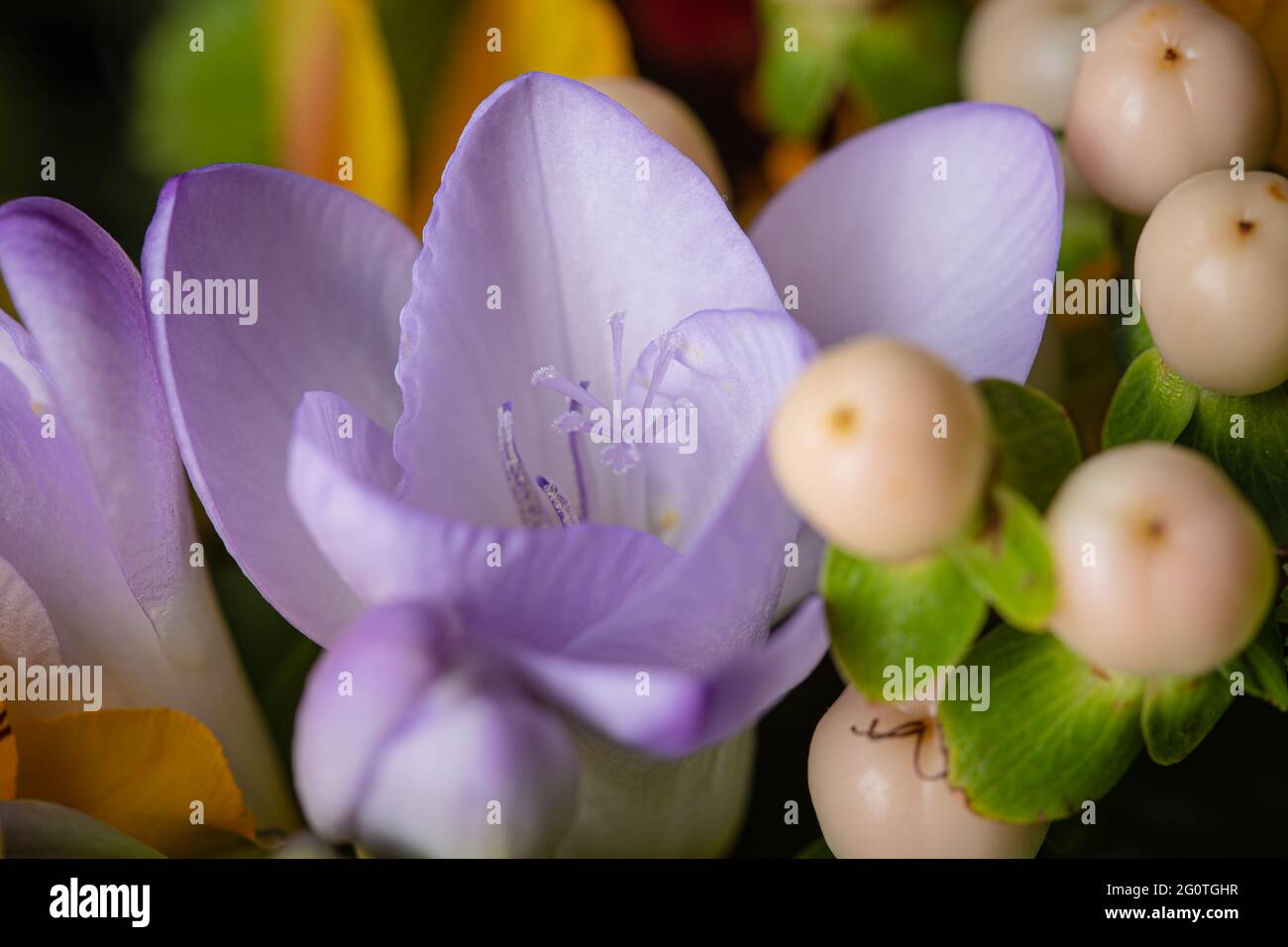 Flower ikebana hi-res stock photography and images - Alamy