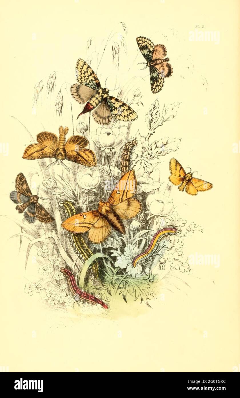 Paul Jerrard High Resolution Stock Photography and Images - Alamy