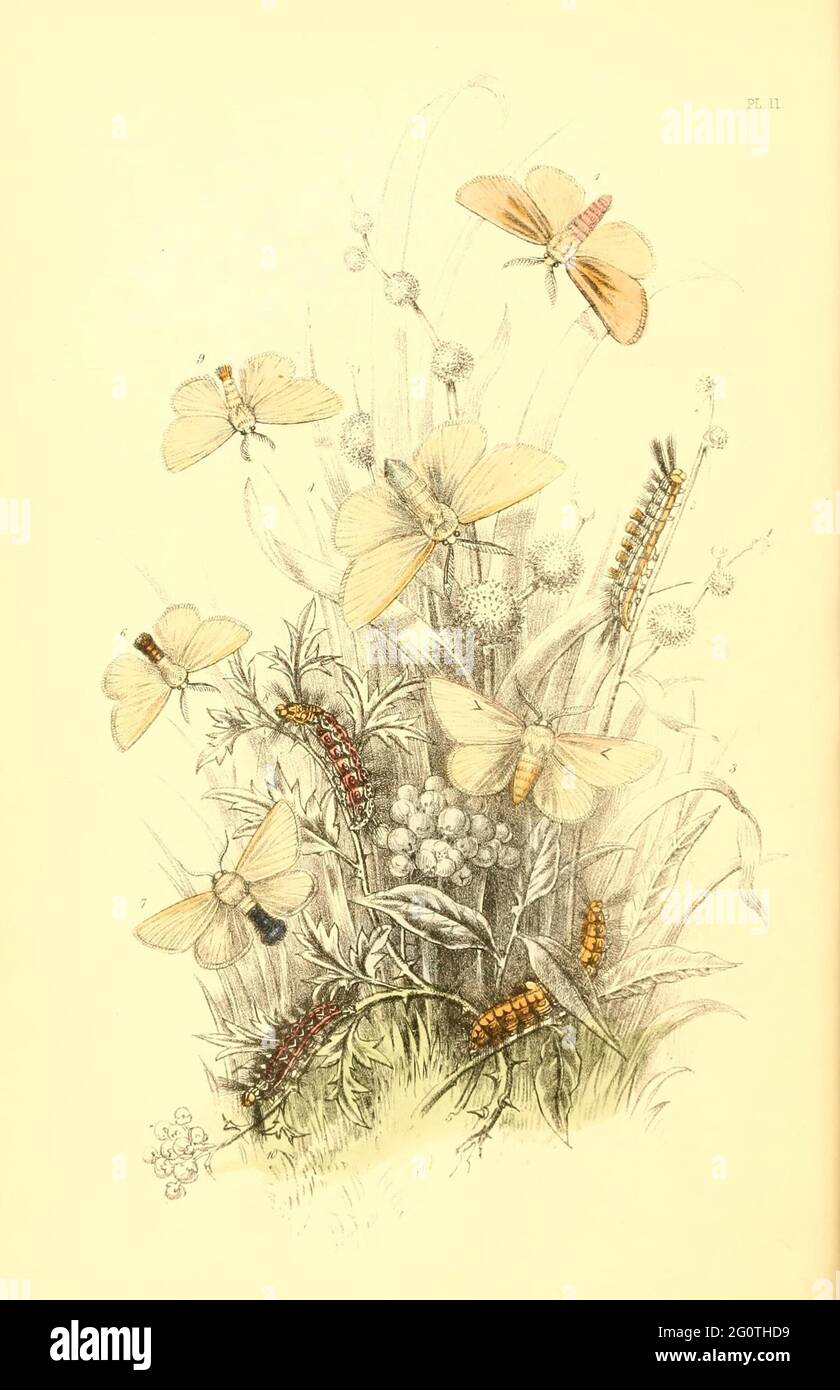 Paul Jerrard High Resolution Stock Photography and Images - Alamy