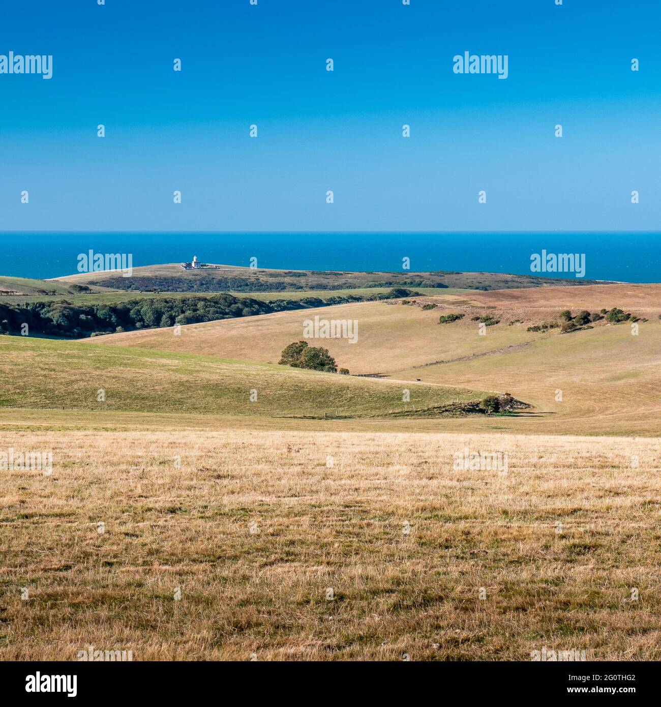 The South Downs, Sussex, England. A view over the rolling hills of the ...