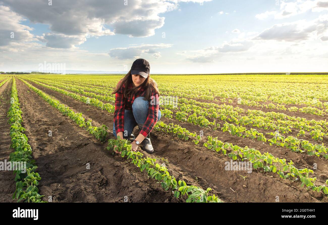 Female farmer at work hi-res stock photography and images - Alamy