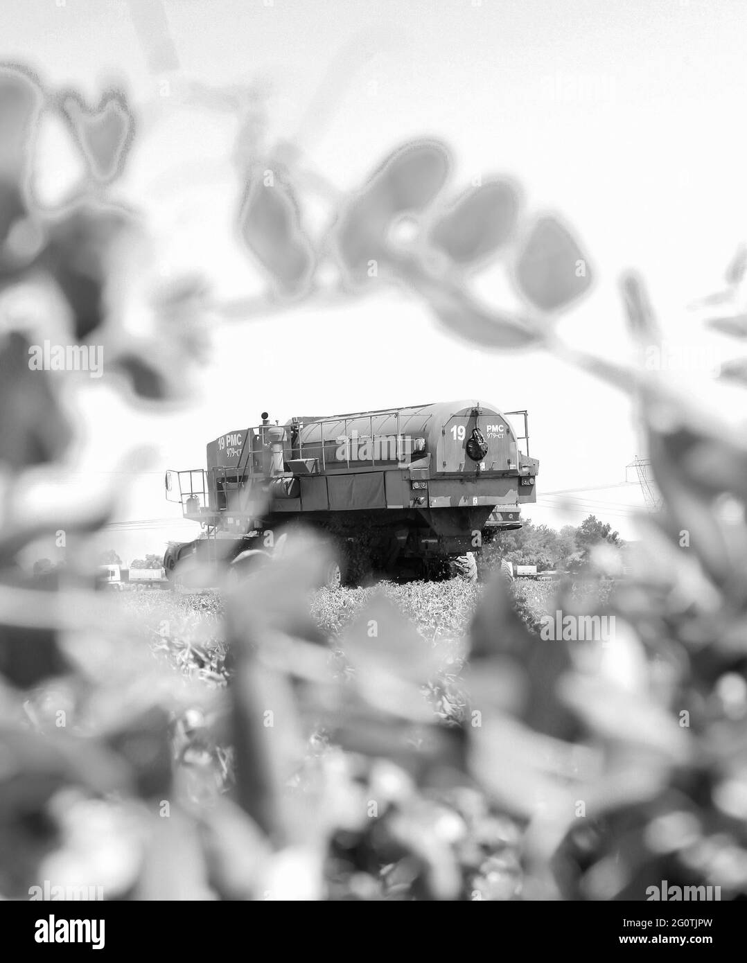 Commercial farmland Black and White Stock Photos & Images - Alamy