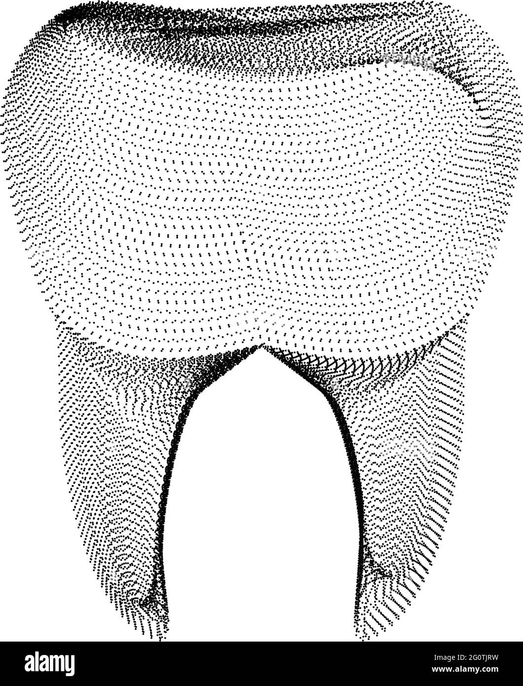 Tooth silhouette consisting of black dots and particles. 3D vector ...