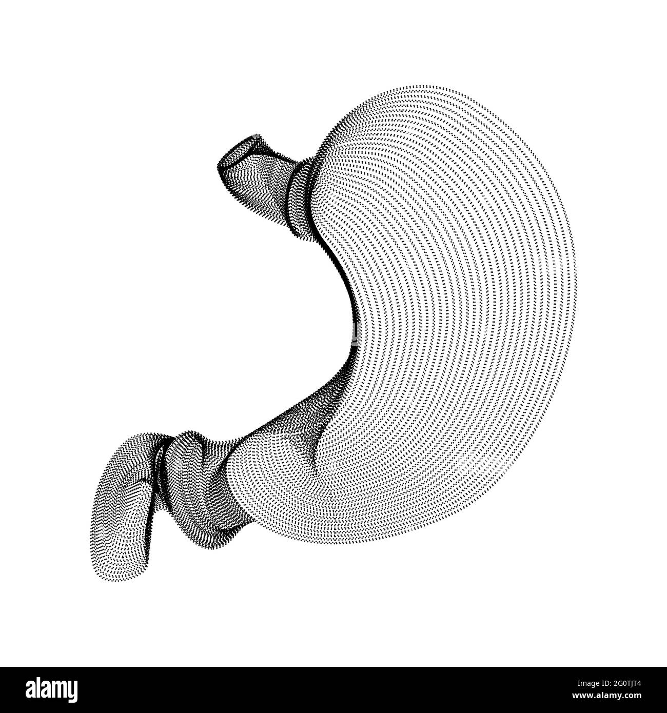 Stomach silhouette consisting of black dots and particles. 3D vector ...