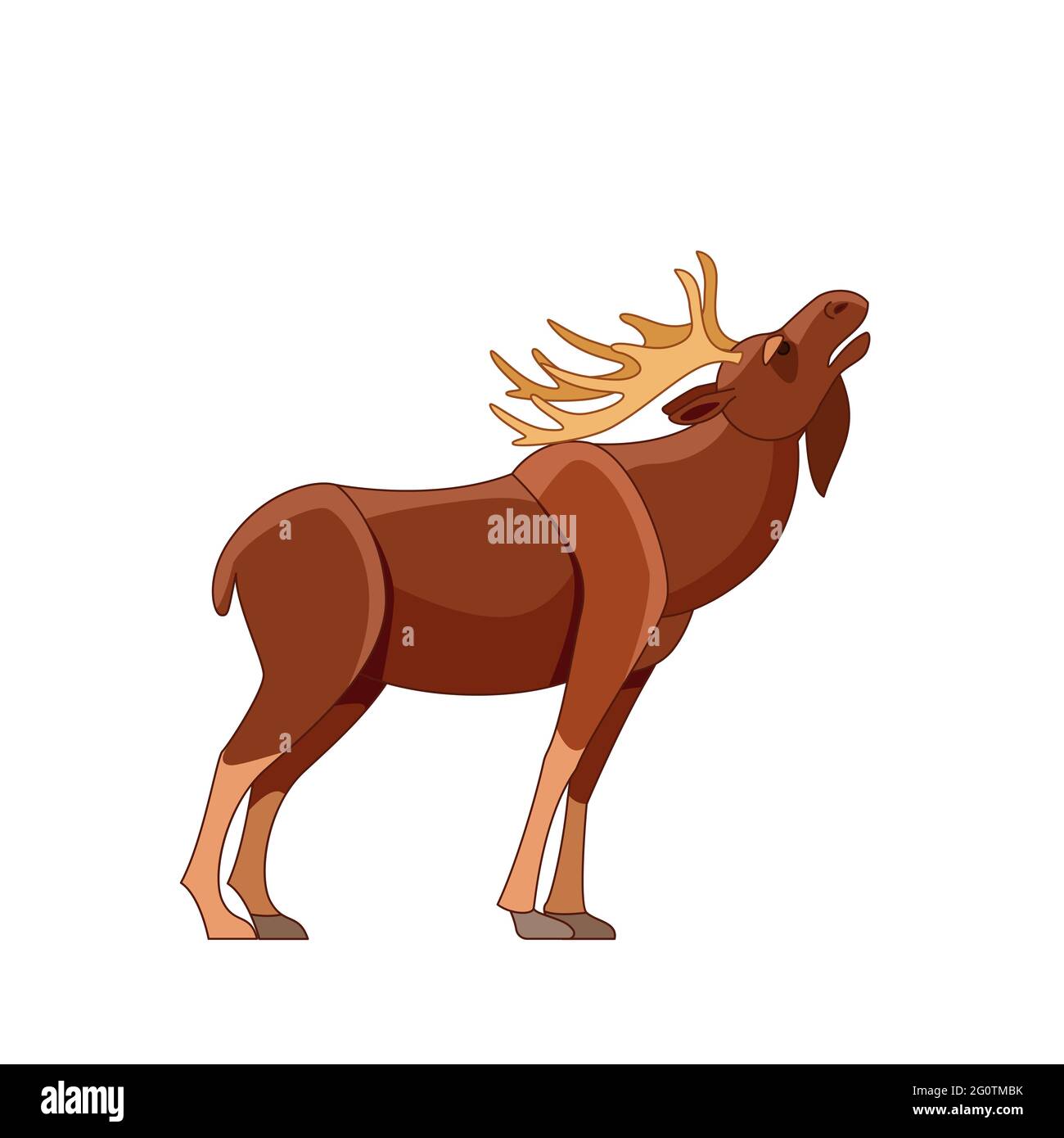 Bull Elk Bugling Drawing