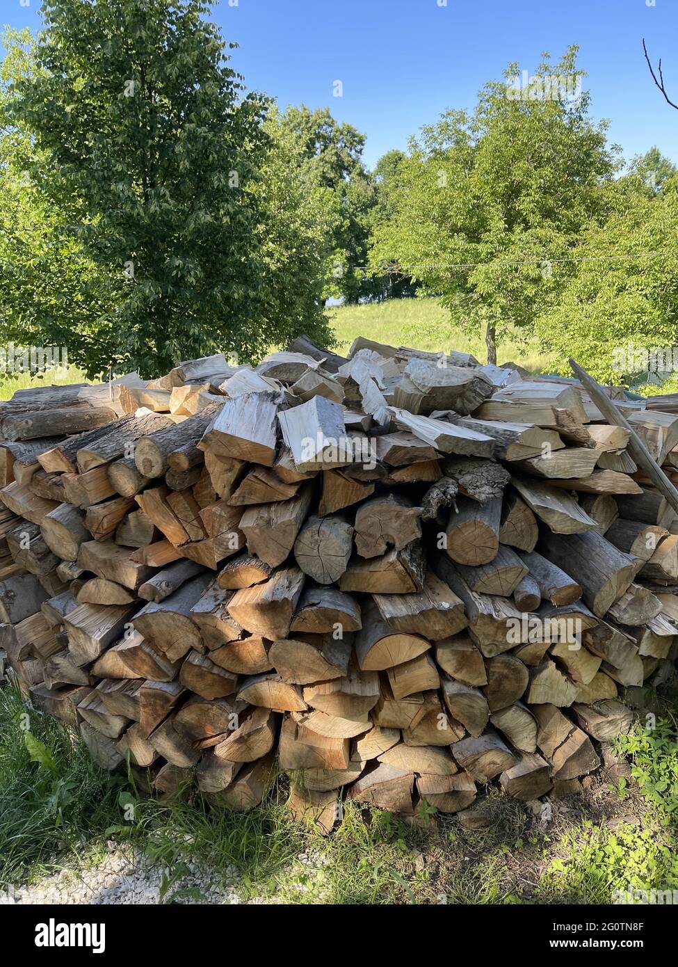 Pile of stacked firewood in nature Stock Photo - Alamy
