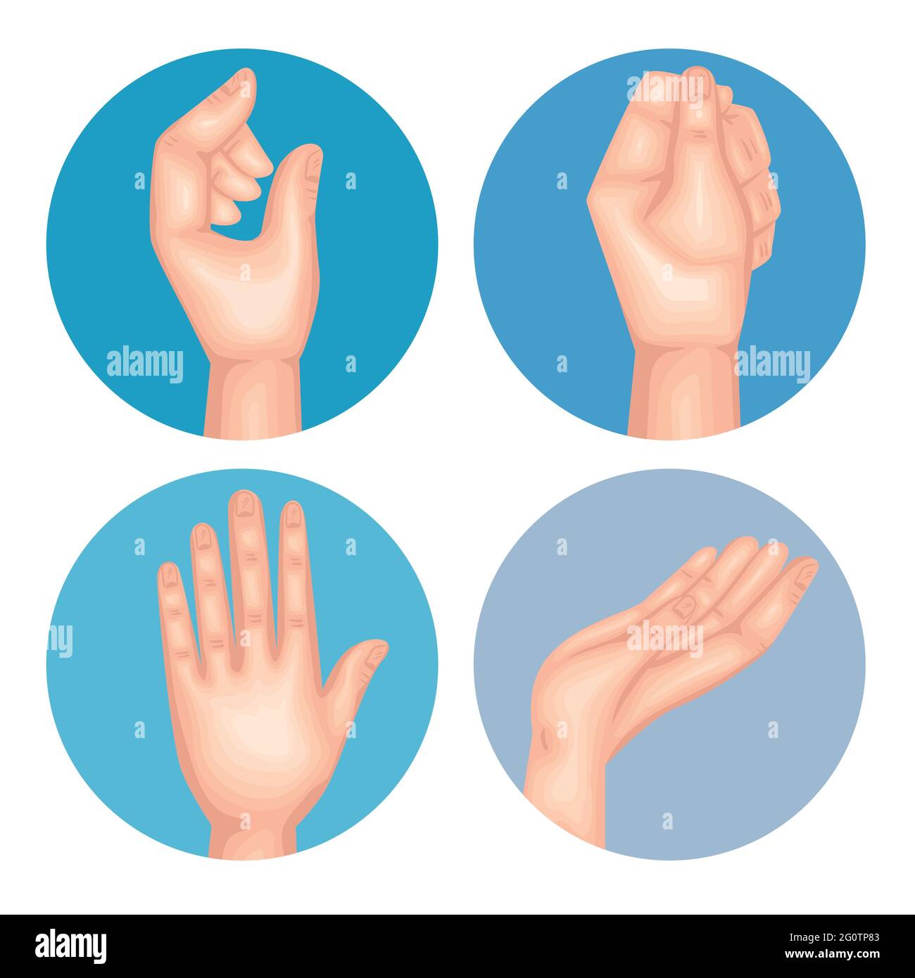four hands humans Stock Vector Image & Art - Alamy