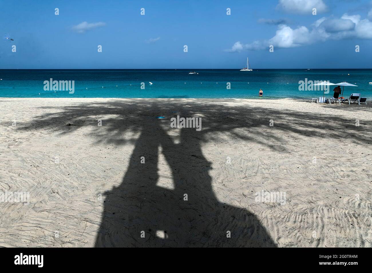 Palm tree etching caribbean hi-res stock photography and images - Alamy