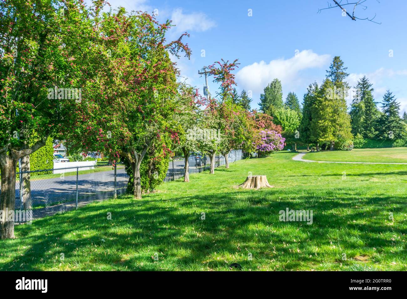 A veiw of a city park with blooming flowers in spring. Location is ...