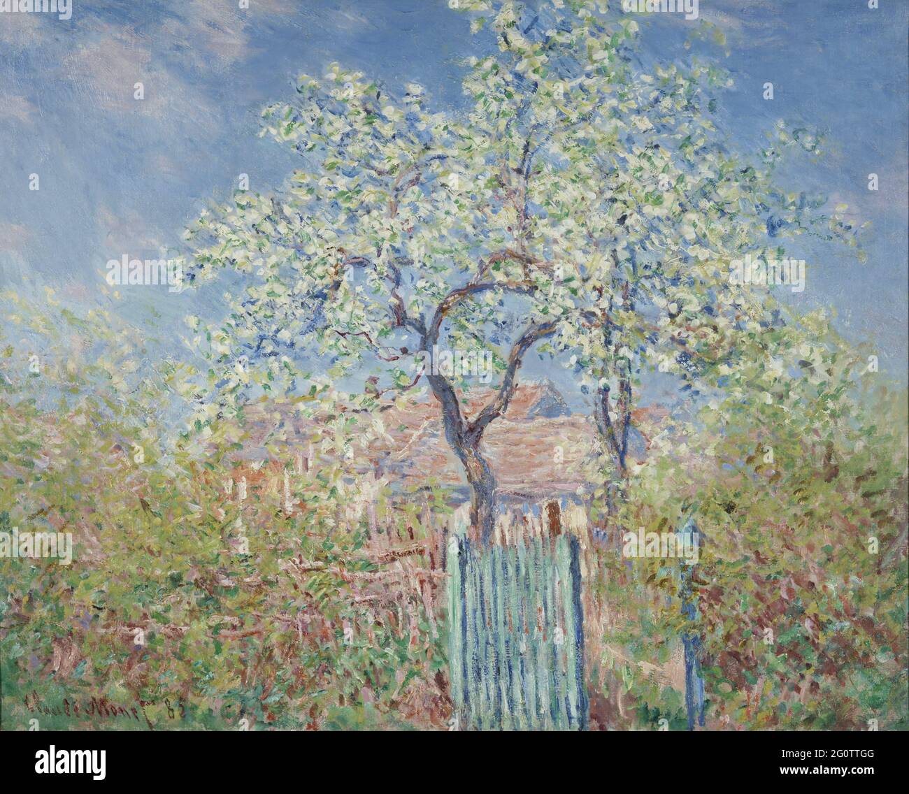 A Serene Oasis: A Tranquil Landscape Bathed in Golden Sunlight, Where ...