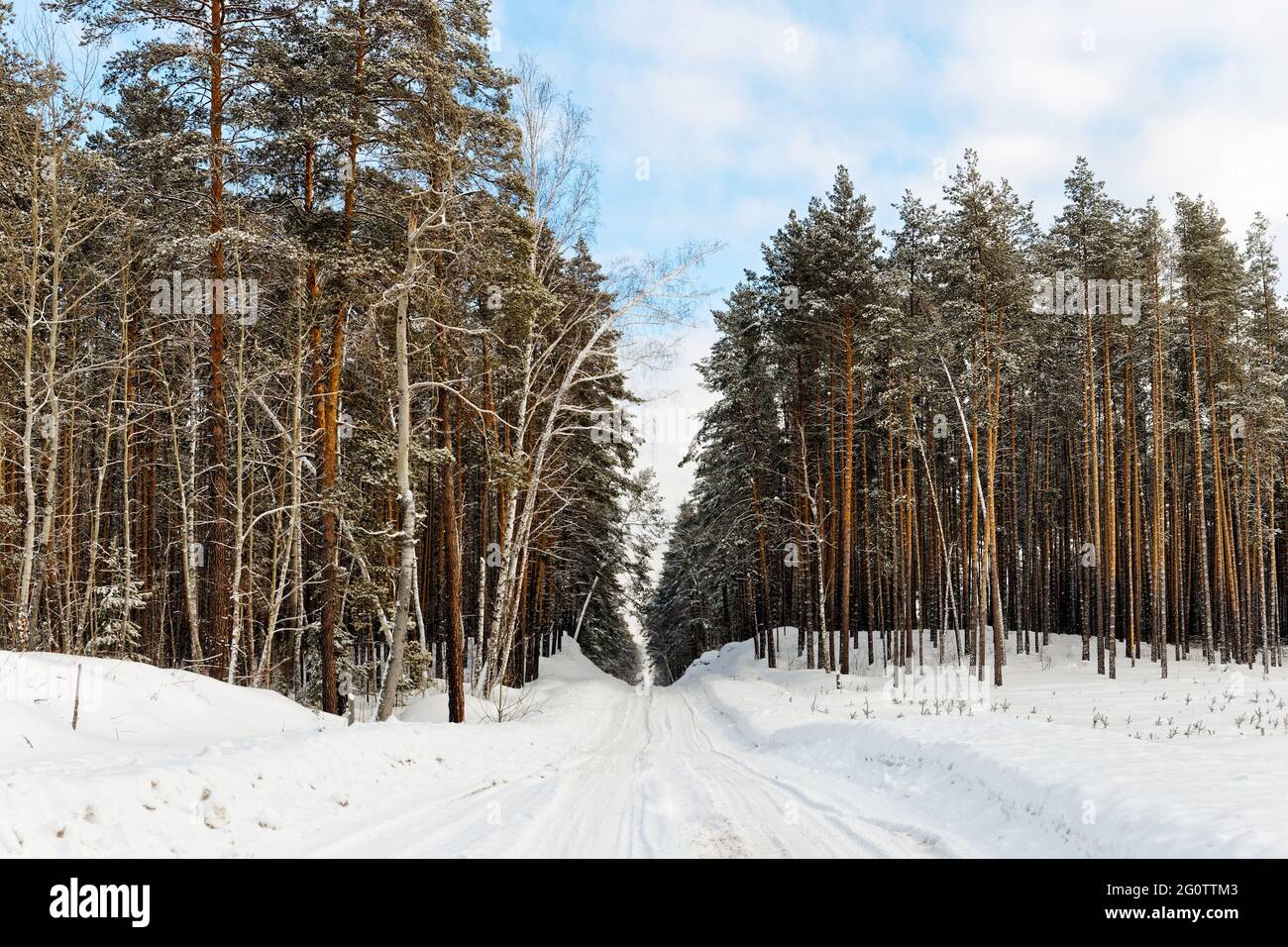 Country road through winter forest hi-res stock photography and images ...