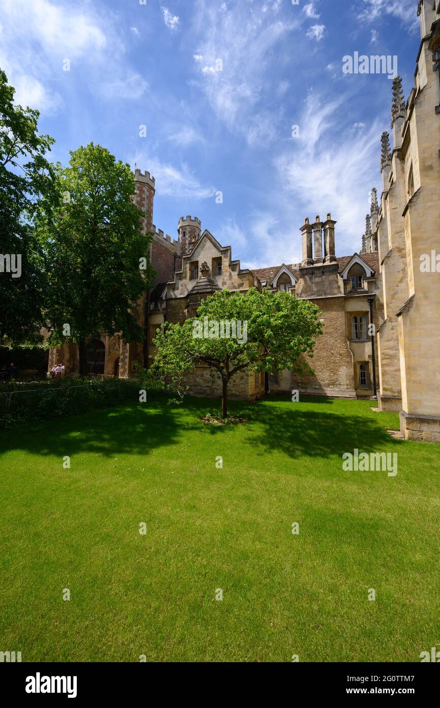 Cambridge Apple Tree High Resolution Stock Photography and Images - Alamy