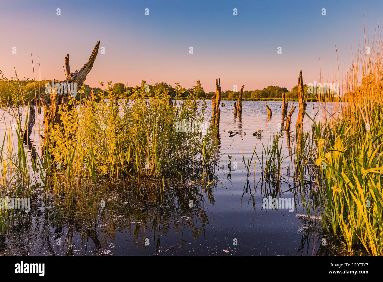 Alde feanen hi-res stock photography and images - Alamy