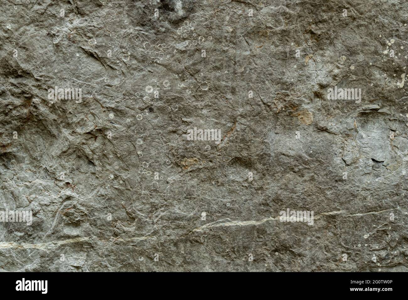 the texture of the cave or rocky cliffs are rugged with vignette ...