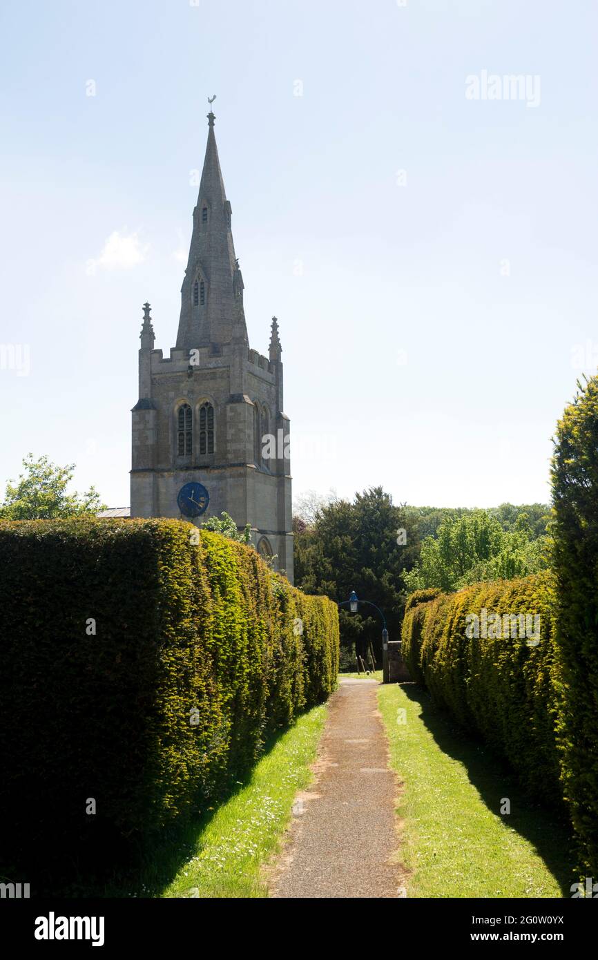 Yew-lined pathway to St. Andrew`s Church, Great Cransley ...