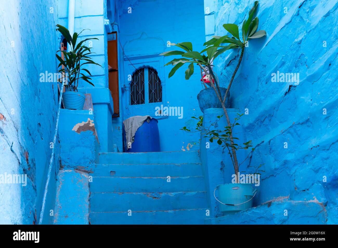Traditional Blue coloured house of Jodhpur city, Rajsthan, India ...