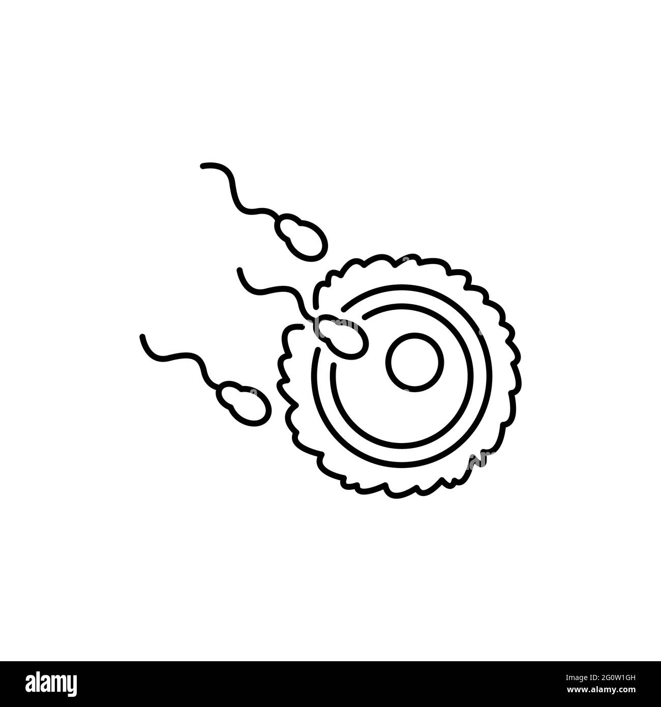 Ova ova Stock Vector Images - Alamy