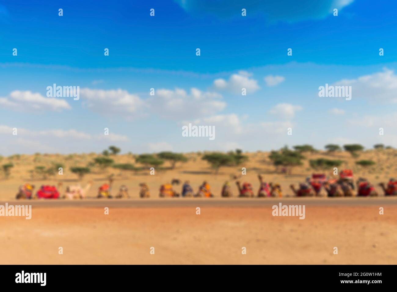 Camel ride image hi-res stock photography and images - Alamy