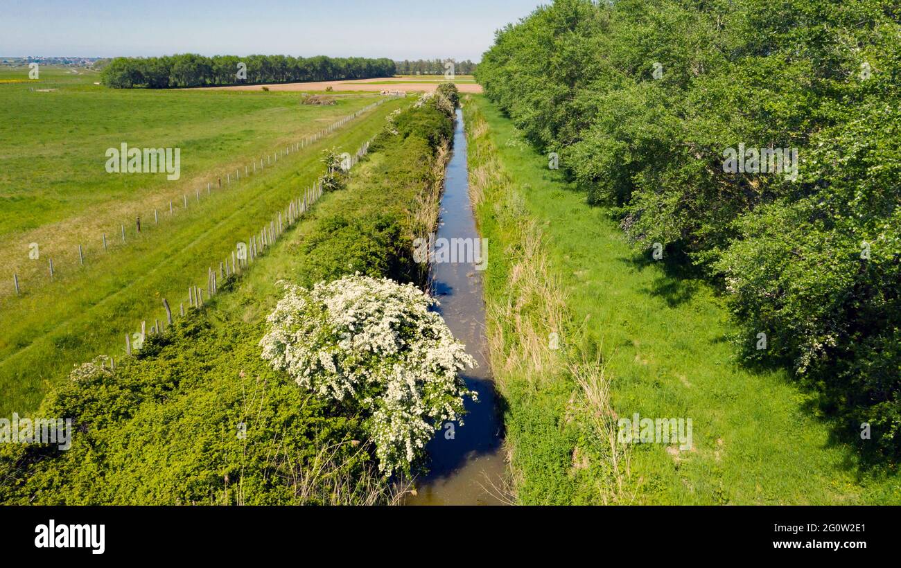 Aerial view of a sluic-controlled channel, distributing water to the ...