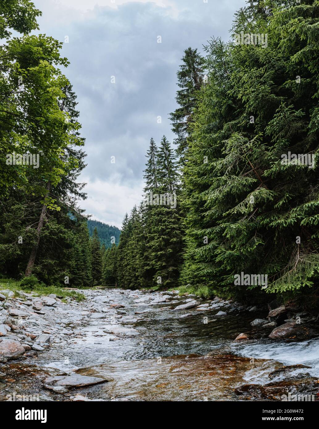 Amazing landscape with high mountains, beautiful curving river, green ...