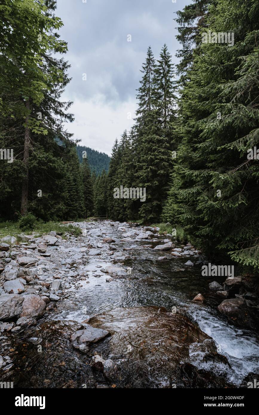 Amazing landscape with high mountains, beautiful curving river, green ...