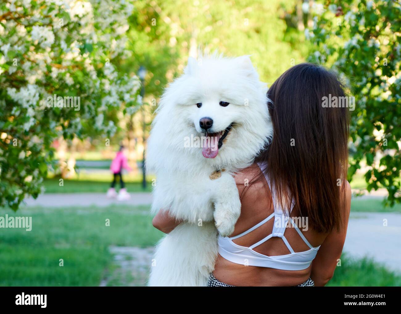 joyful dog in the arms of the girl Stock Photo - Alamy