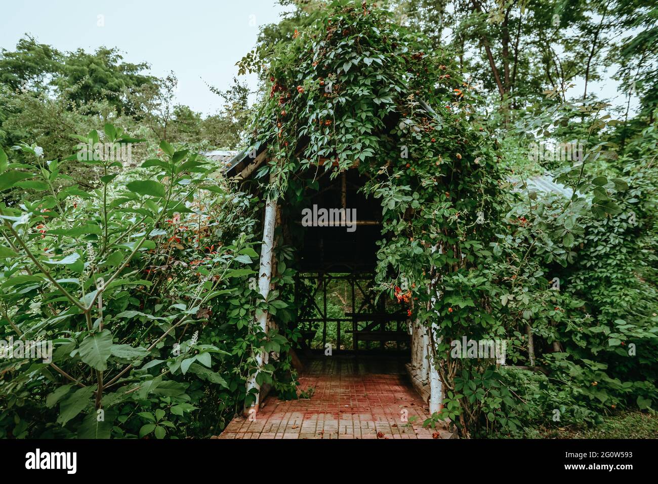 Rural back yard with beautiful view Stock Photo - Alamy