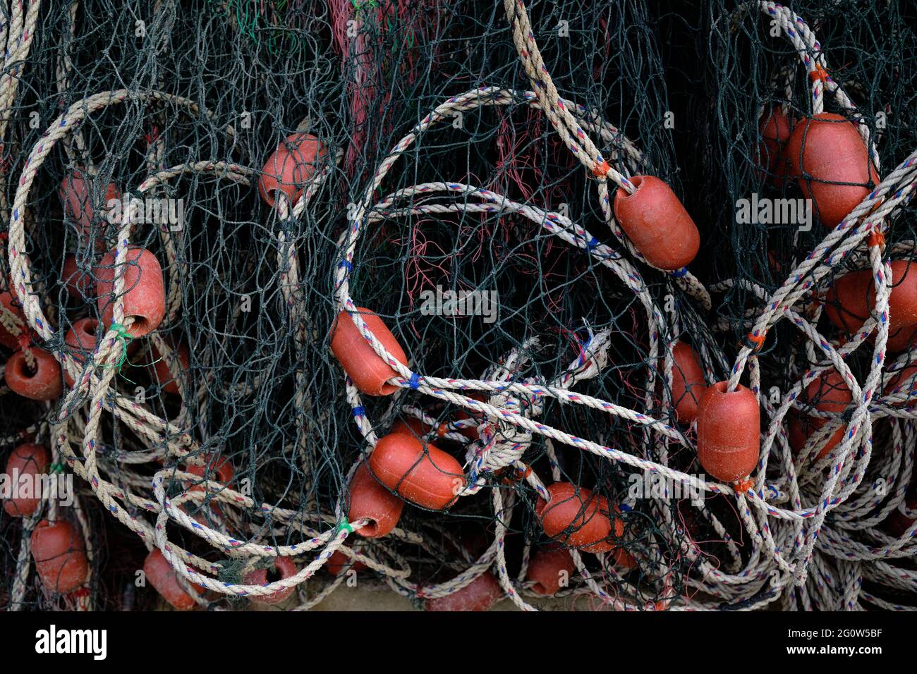 A fishing net that is messy with floaters on a beach in Tanjung Bungah ...