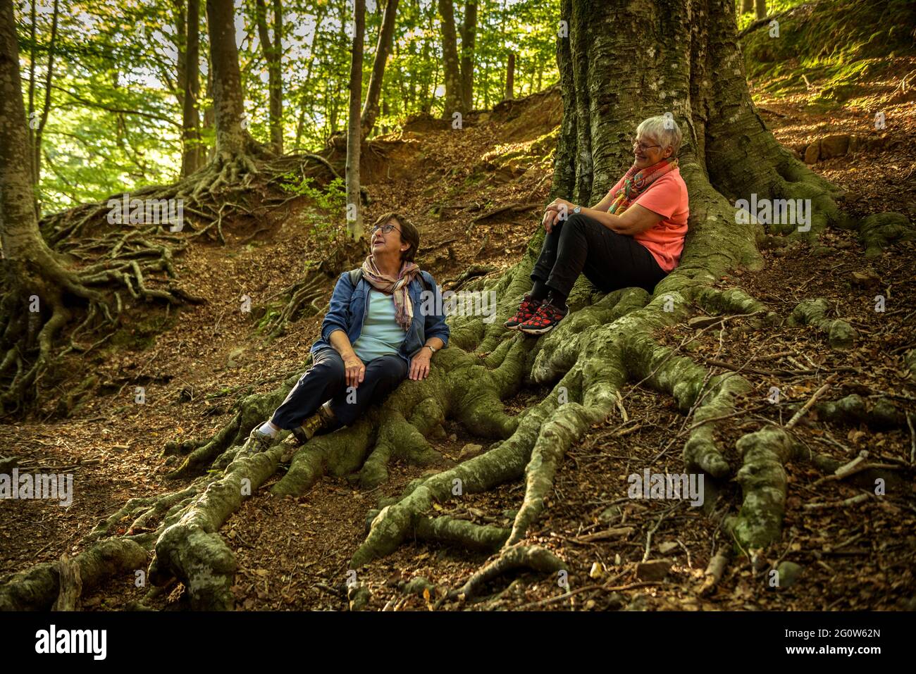 Hoja de agua hi-res stock photography and images - Alamy