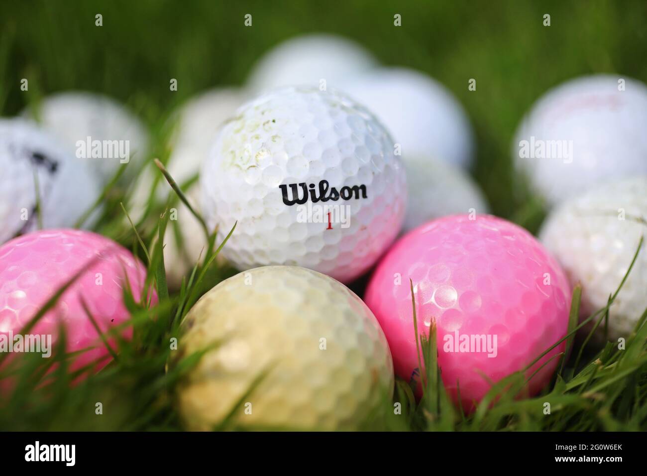 Wilson golf ball on a golf course Stock Photo - Alamy
