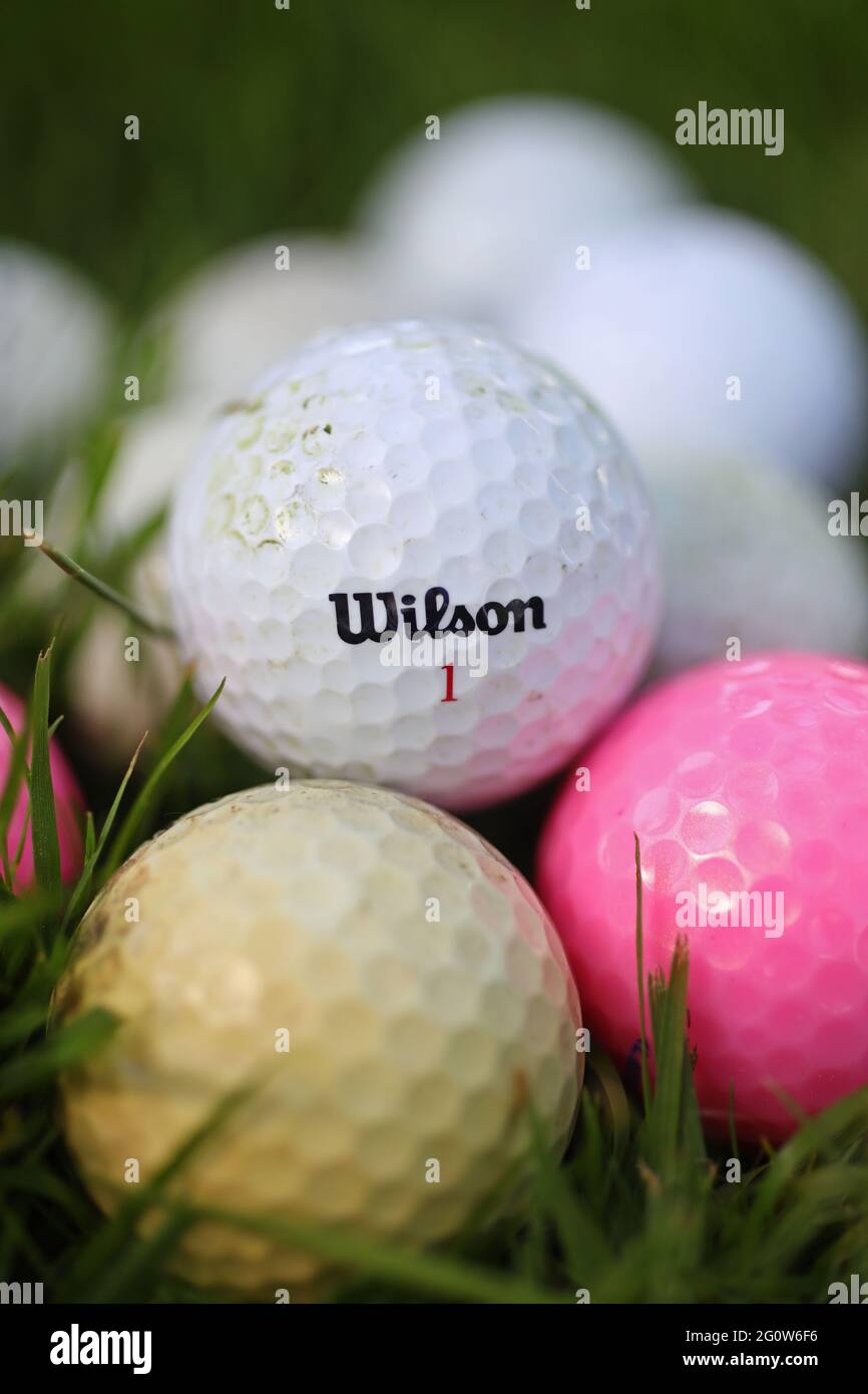 Wilson golf ball on a golf course Stock Photo - Alamy