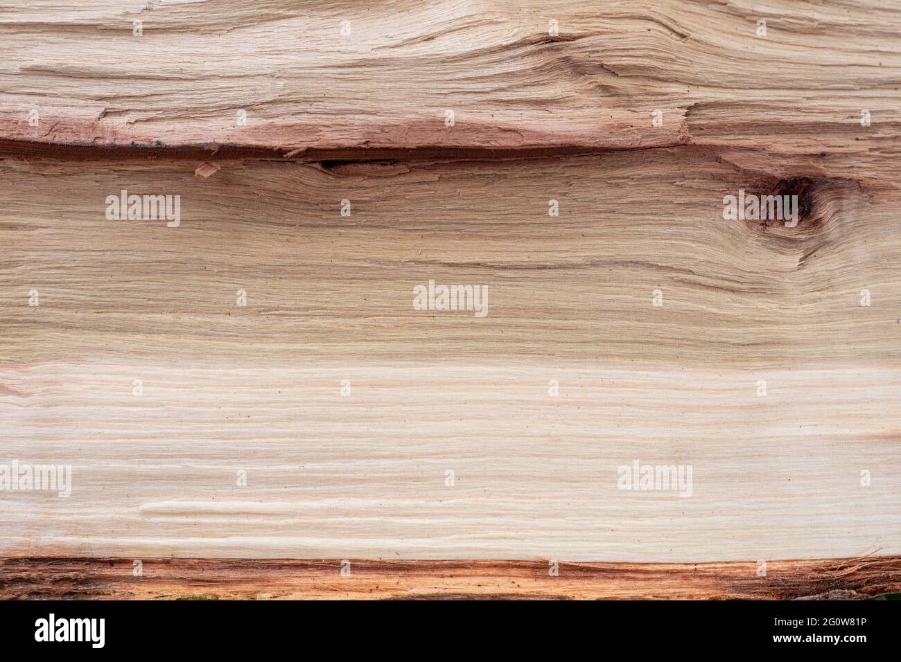 The surface of a wooden chopped block. Natural background for text ...