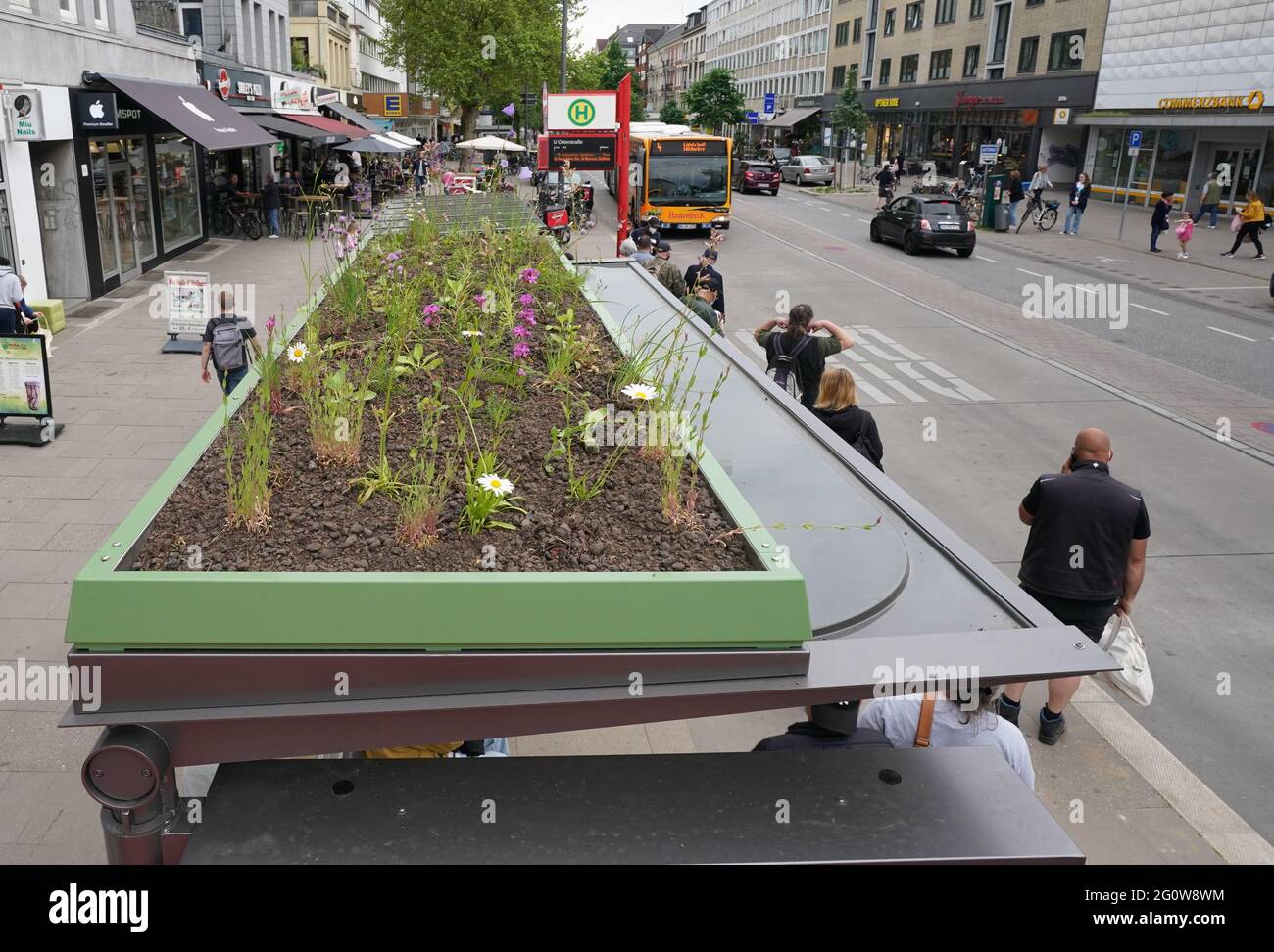 Hamburg, Germany. 03rd June, 2021. Flowers and plants can be seen on ...