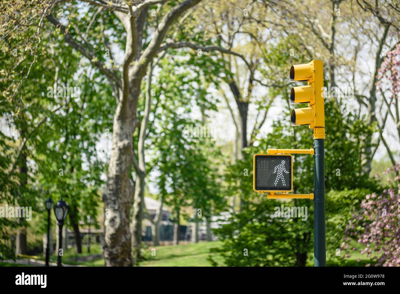 New york green pedestrian hi-res stock photography and images - Alamy